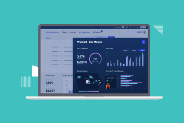 Business Intelligence For Software Developers | Yellowfin BI